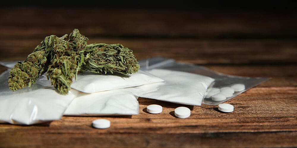Survey Marijuana Hallucinogen Use Among College Students On The Rise